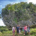 Nuku'alofa Shore Excursion: West Coast Scenic Tour - The Practical Side: Transportation, Guides, and Value