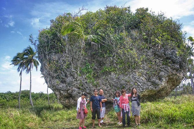 Nuku'alofa Shore Excursion: West Coast Scenic Tour - The Practical Side: Transportation, Guides, and Value