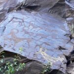 Nurata Mountain & Kyzyl-kum Desert 3 Day Tour From Samarkand or Bukhara - Logistics and Practicalities