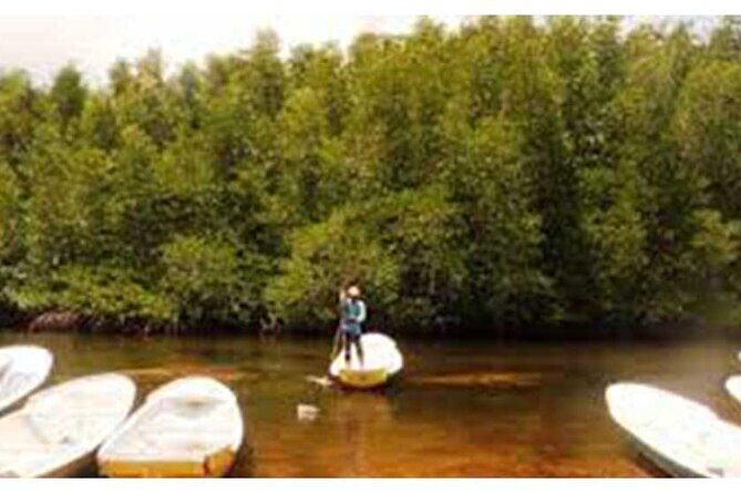 Nusa Lembongan Highlights Day Trip All-Inclusive - Practical Considerations and Value