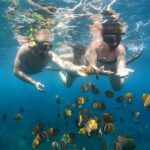 Nusa Penida Island Beach Tours with Snorkeling From Bali - An In-depth Look at Nusa Penida Island Beach Tours with Snorkeling
