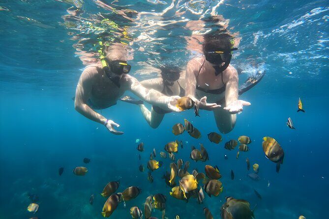 Nusa Penida Island Beach Tours with Snorkeling From Bali - An In-depth Look at Nusa Penida Island Beach Tours with Snorkeling