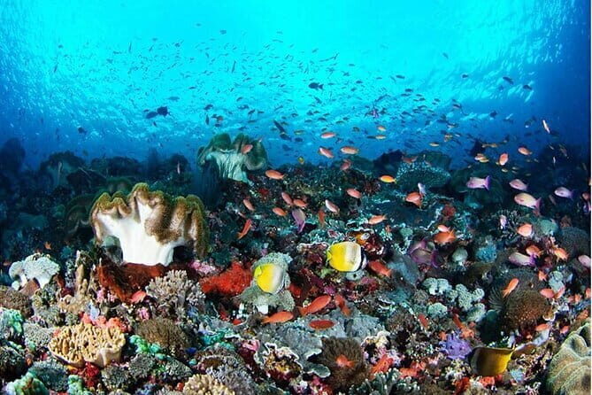 Nusa Penida Snorkling Package - The Benefits of All-Inclusive Planning