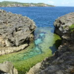 Nusa Penida Tour - Authenticity and Tour Quality