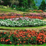 Nuwara Eliya Private Day Trip from Mirissa - Gregory Lake: A Calm Retreat with Options for Fun