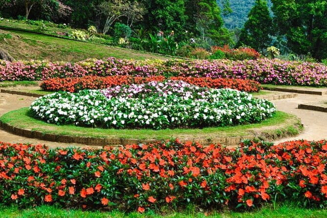 Nuwara Eliya Private Day Trip from Mirissa - Gregory Lake: A Calm Retreat with Options for Fun