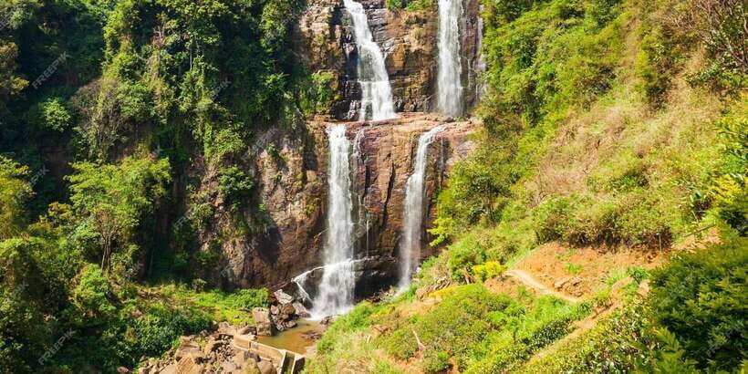 Nuwara Eliya: Sri Lanka hill country day trip from Kandy - The Heart of the Tour: Tea and Landscape