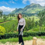 Nuwara Eliya: Tea Factory and Victoria Park Tour by Tuk Tuk - The Sum Up