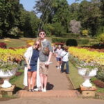 NuwaraEliya & Kandy 2 Days Private Tour - Who Should Consider This Tour?