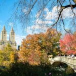 NYC: Central Park Elf & Home Alone Film Spots Pedicab Tour - What You Can Expect in Each Segment