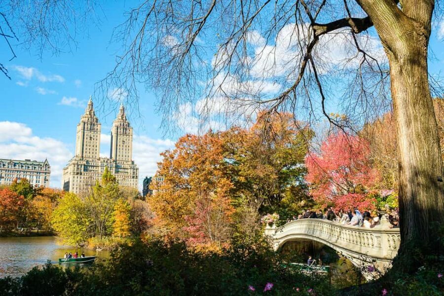 NYC: Central Park Elf & Home Alone Film Spots Pedicab Tour - What You Can Expect in Each Segment