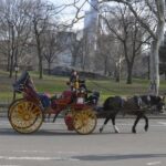 NYC: Central Park Horse-Drawn Carriage Ride - Who Should Consider This Experience?