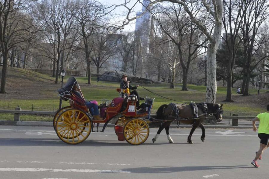 NYC: Central Park Horse-Drawn Carriage Ride - Who Should Consider This Experience?