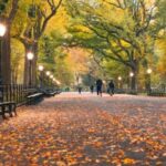 NYC: Central Park Zoo & Central Park Guided Walking Tour - Exploring Central Park in Detail