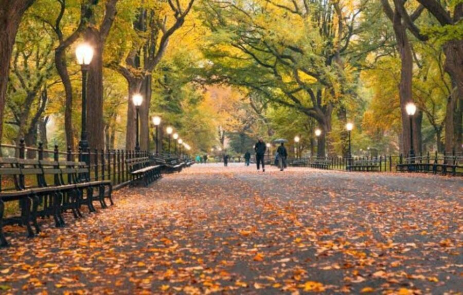 NYC: Central Park Zoo & Central Park Guided Walking Tour - Exploring Central Park in Detail