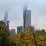 NYC: Empire State Horses Carriage Ride in Central Park - Pricing and Value