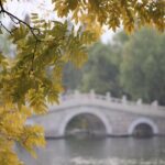 NYC Fall Foliage Cruise - Whats Included and What to Expect