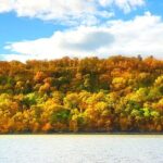 NYC Fall Foliage Cruise: Experience Autumn's Beauty - Is the Price Worth It?