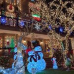 NYC | French guided tour of Christmas in Brooklyn - Practical Aspects and Tips