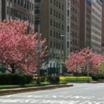 NYC: Guggenheim Ticket & Carnegie Hill Digital Tour - Who Should Consider This Tour?