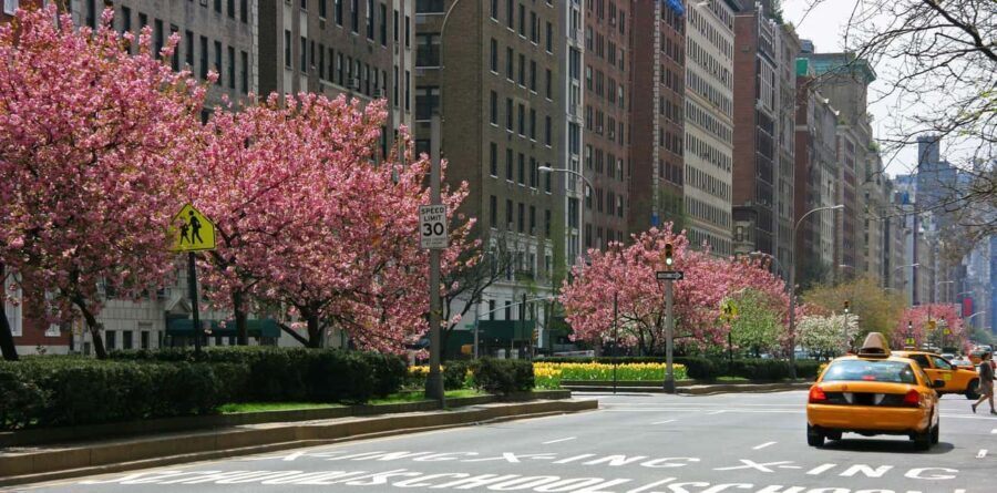 NYC: Guggenheim Ticket & Carnegie Hill Digital Tour - Who Should Consider This Tour?