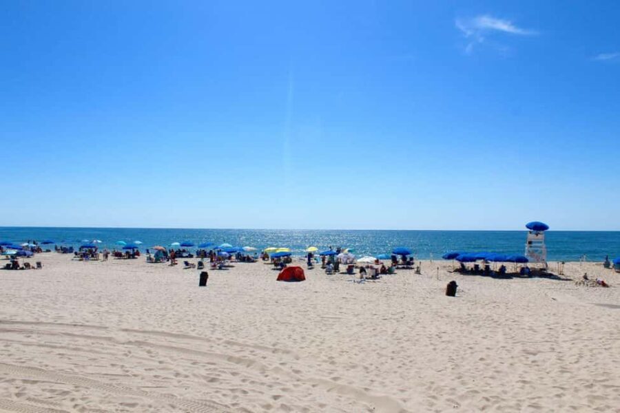 NYC: Hamptons Private Day Tour - The Practical Side: Transportation, Timing, and Flexibility