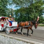 NYC MAGICAL NIGHT TIME RIDE Central Park/Rockefeller Center - Who This Tour Is Perfect For