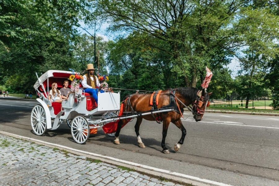 NYC MAGICAL NIGHT TIME RIDE Central Park/Rockefeller Center - Who This Tour Is Perfect For