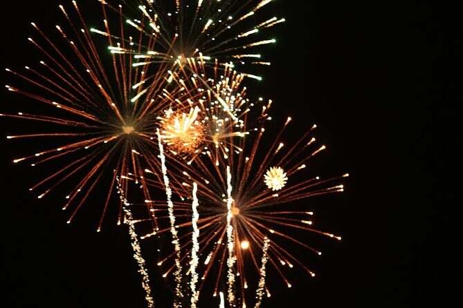 NYC New Years Eve Fireworks Cruise & Plated Dinner, Open Bar - Dining: A Gourmet Affair at Sea