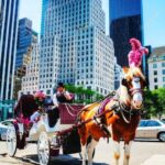 NYC Private Central Park Horse Carriage Ride with Guide - What Makes This Tour Worthwhile?