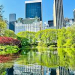 NYC: Private Central Park Pedicab Tours / PICKUP FROM MUSEUM - Who Will Benefit Most?