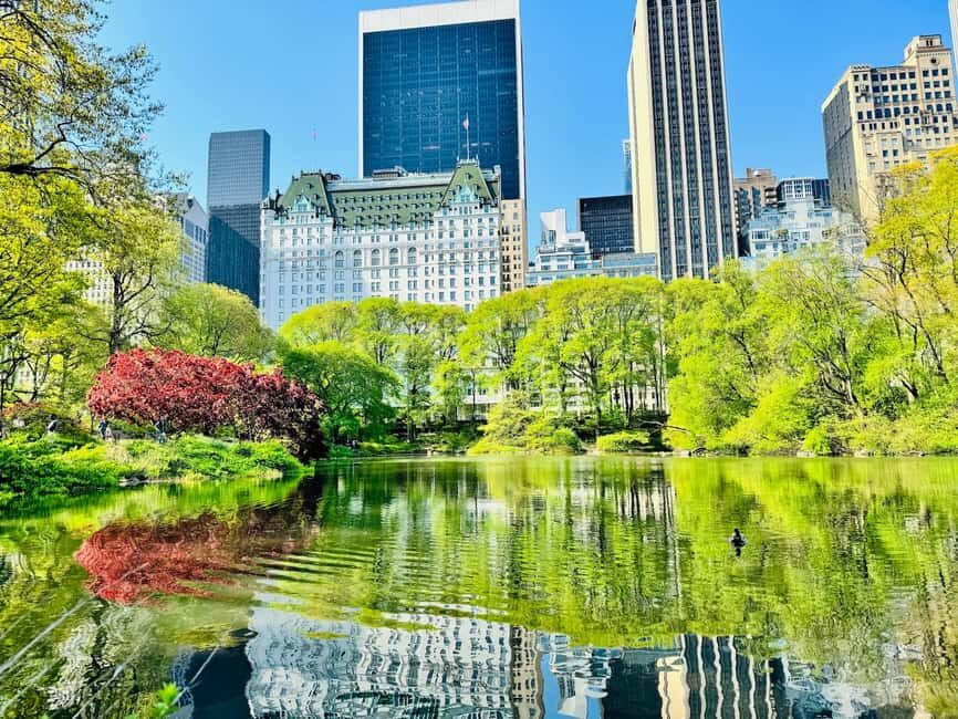 NYC: Private Central Park Pedicab Tours / PICKUP FROM MUSEUM - Who Will Benefit Most?
