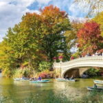 NYC: Private Central Park Tour - Itinerary Highlights and What to Expect