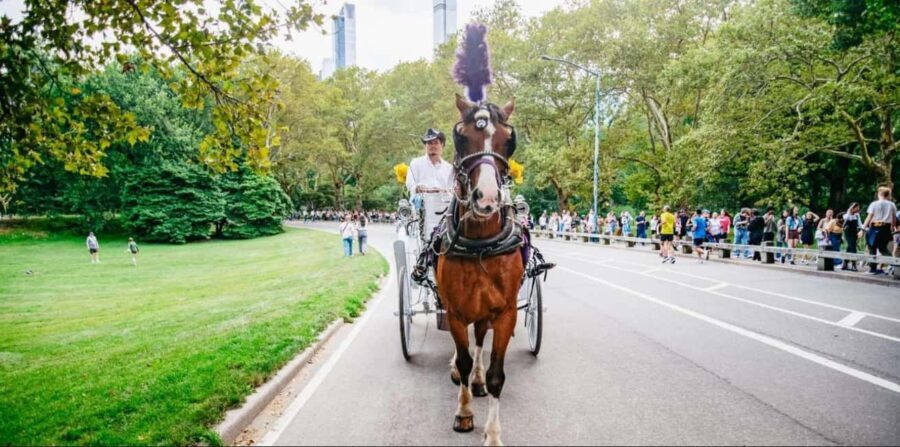 NYC: Private Christmas Lights Horse Carriage Ride - Practical Tips for Booking and Enjoying
