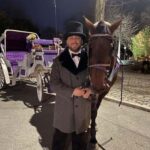NYC: Private Christmas Lights Horse Carriage Ride - Why This Tour Is Worth Considering