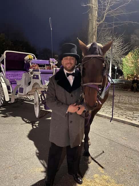 NYC: Private Christmas Lights Horse Carriage Ride - Why This Tour Is Worth Considering