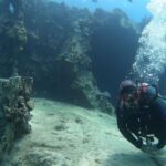 Oahu: Beginner SCUBA Dive at Electric Beach - The Value of the Experience