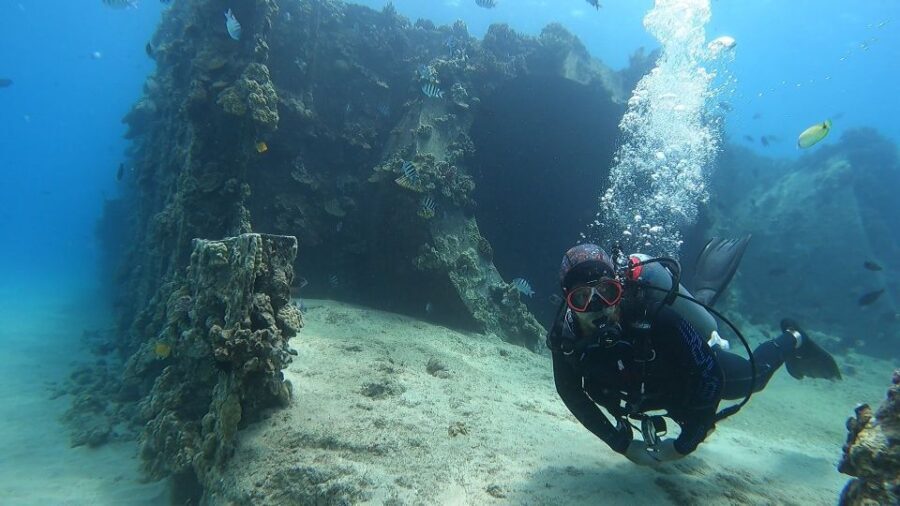 Oahu: Beginner SCUBA Dive at Electric Beach - The Value of the Experience