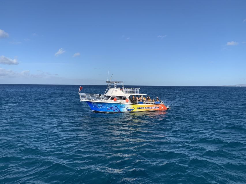 Oahu: BYOB or Cash Bar Waikiki Sunset Cruise - Who Is This Tour Best For?