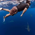 Oahu: Cageless Shark Dive Adventure - What You Can Expect from the Tour