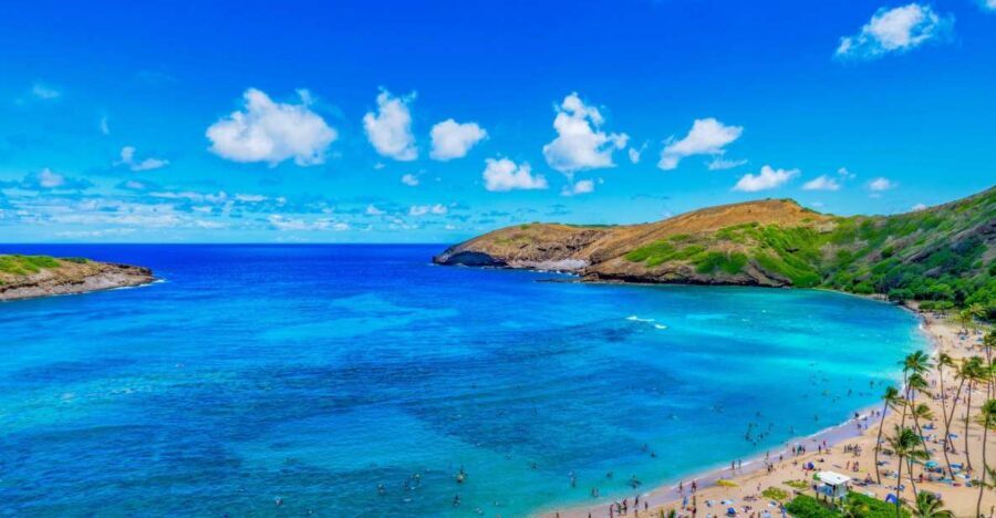 Oahu: Circle Island Top Sights Full-Day Tour w/ Local Guide - Discovering Oahu in One Day
