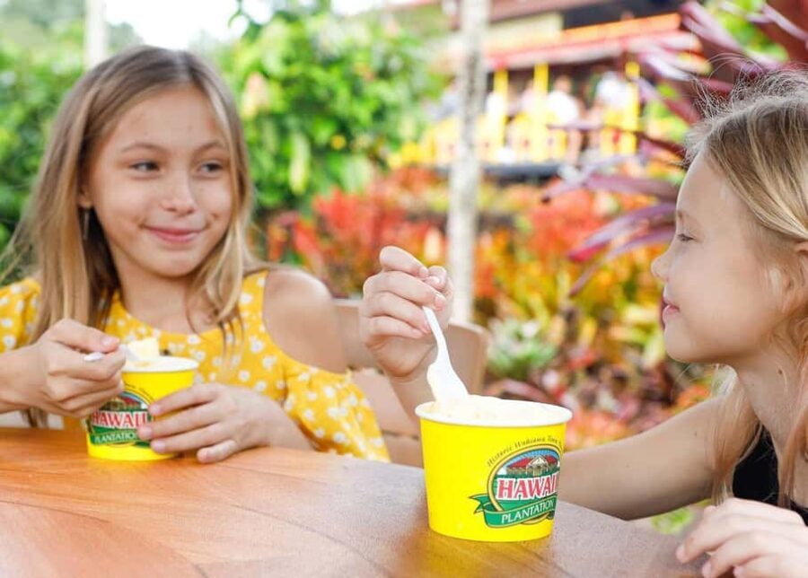 Oahu: Dole Plantation & Haleiwa Express Deluxe Tour - Is It Worth the Price?