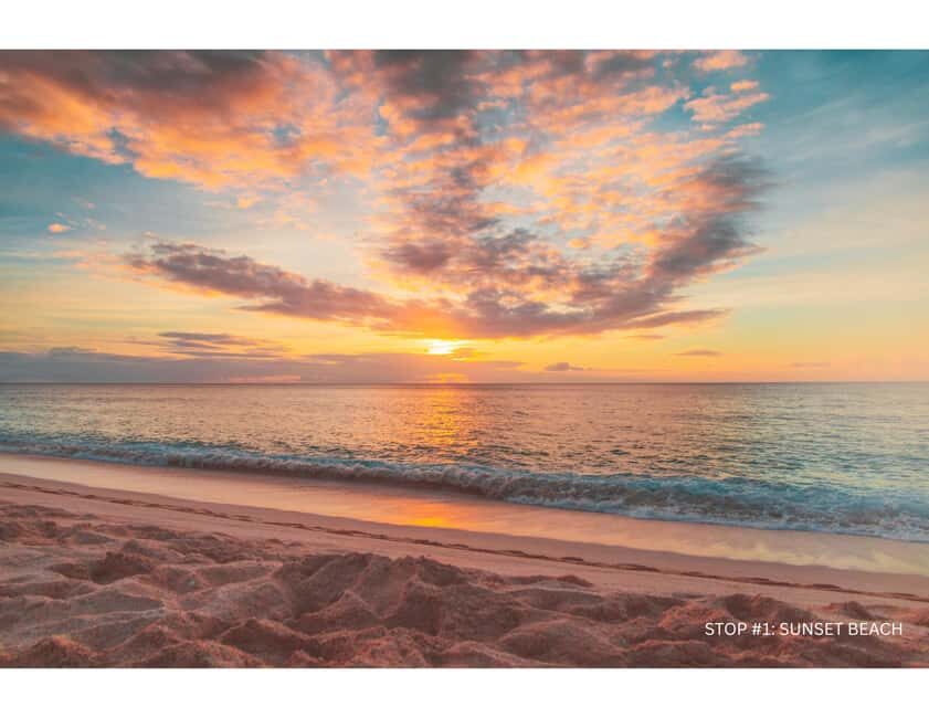Oahu: Explore North Shore by E-Bike & Snorkel (Self-Guided) - Final Thoughts