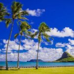 Oahu: Grand Circle Island Tour with Haleiwa - The Bottom Line on Value