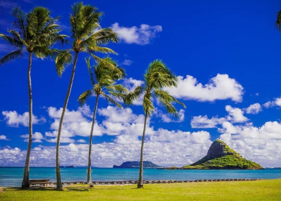 Oahu: Grand Circle Island Tour with Haleiwa - The Bottom Line on Value