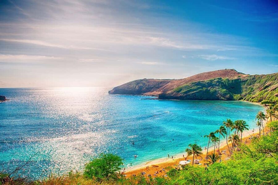 Oahu: Hawaii Grand Circle Island Tour - Who Should Take This Tour?