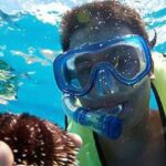 Oahu: Hilton Hawaiian Village Snorkel Tour - Is It Worth the Price?