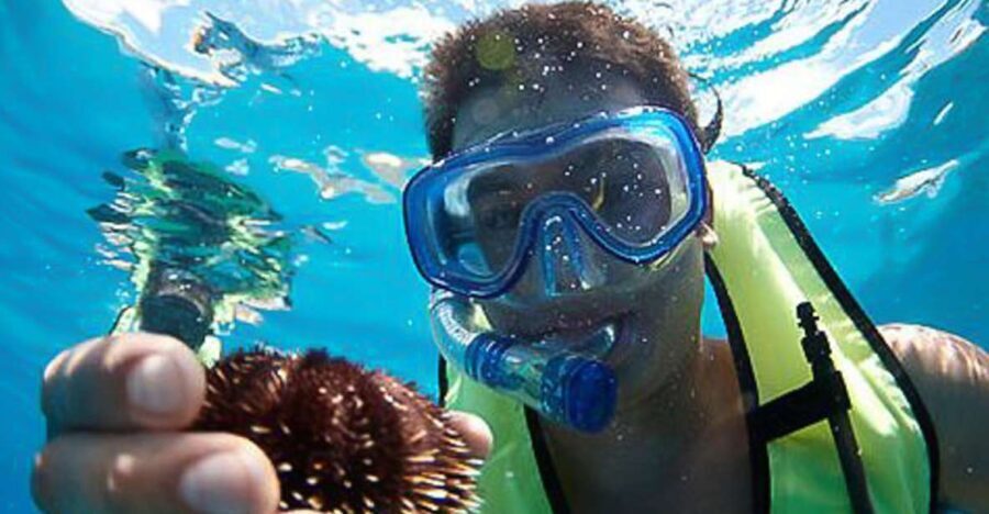 Oahu: Hilton Hawaiian Village Snorkel Tour - Is It Worth the Price?