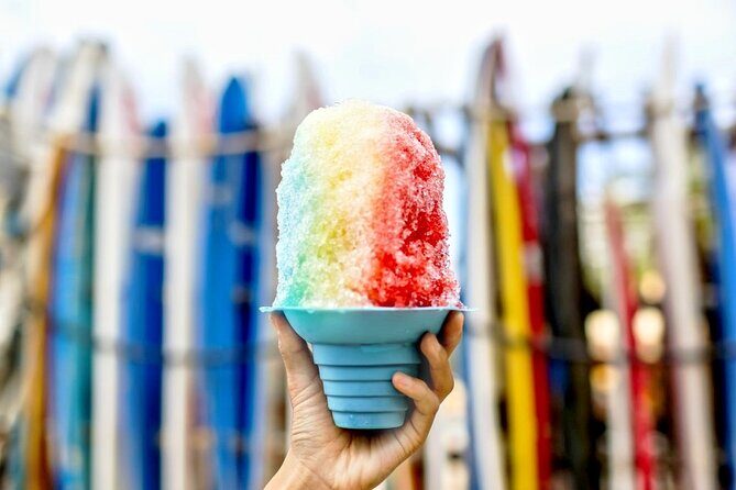 Oahu Island Sightseeing and Food Combo Tour - Final Thoughts