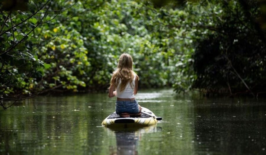 Oahu: Kahana River Stand-Up Paddleboard Rental - A Genuine Look at the Experience